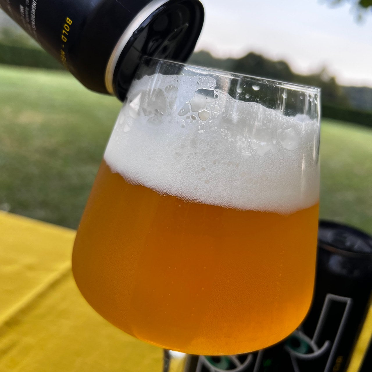 Bold Helles Bierbox 4 Lattine – vaigustando